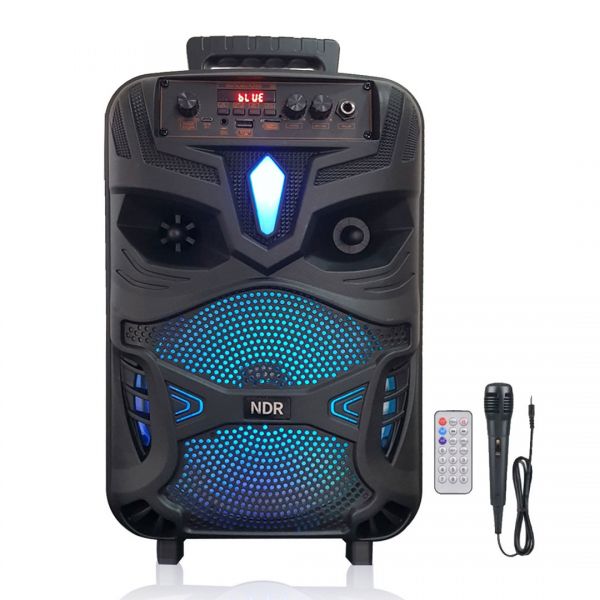 Wireless Bluetooth Speaker With Party Ball Light and Mic, 8 inch, Model - NDR P55 - Fabvariety